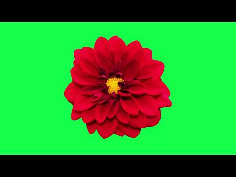 PNG
