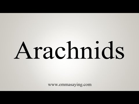 How To Say Arachnids