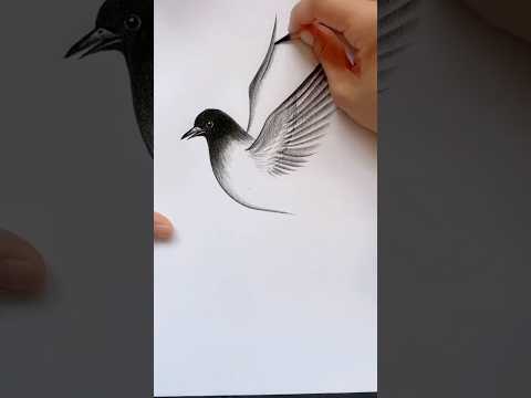 how to draw a realistic bird step by step for beginners.. #bird #drawing