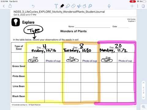 Wonders of plants observation log - LZ