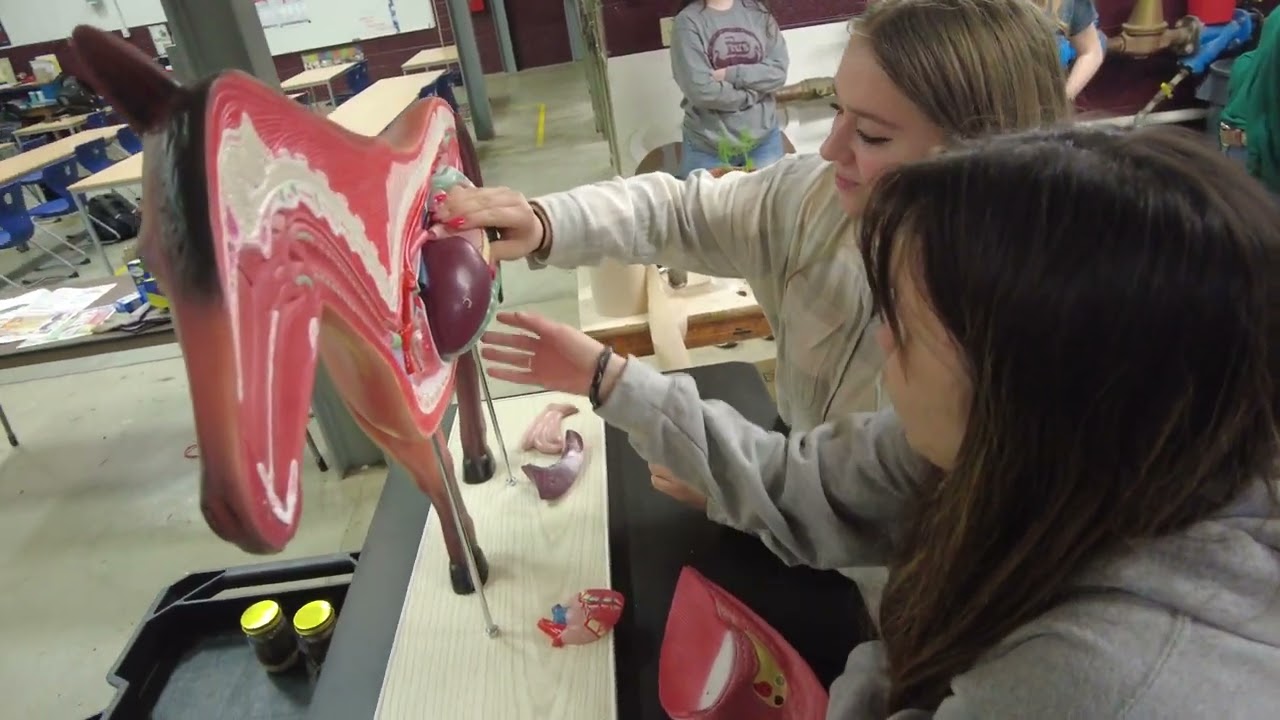 CTE Spotlight - Agriculture