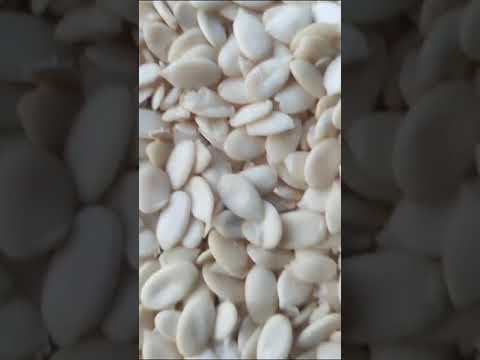 Magajtari - Wholesale Price & Mandi Rate for Magaj Seeds