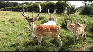 3 Best Places To Visit in Fife, UK - Expert Recommendations