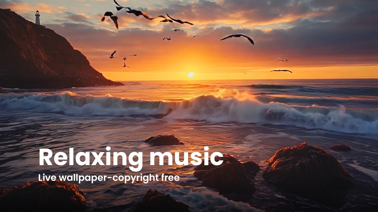 1 Hour Relaxing Ocean Sunset Live Wallpaper with Soothing Waves & Birds