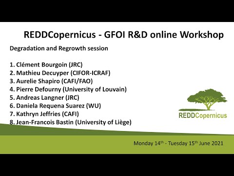 REDDCopernicus - GFOI R&D Online Workshop - Degradation and Regrowth session