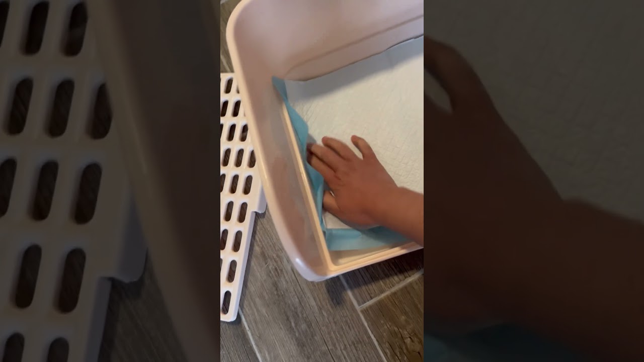 Best litter box for rabbits #animals #bunny #rabbit