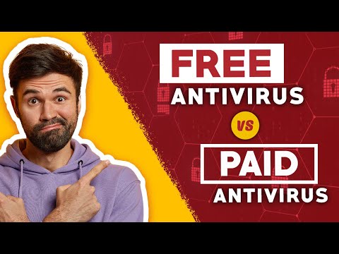 Why You Need an Antivirus Software | Top Free and Paid Antivirus Software