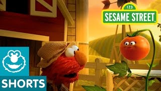 Sesame Street: Airplane Pilot | Elmo the Musical | Safe Videos for Kids