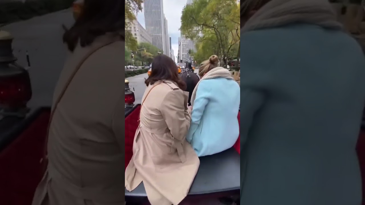 The Disturbing Truth About NYC's Horse Carriages