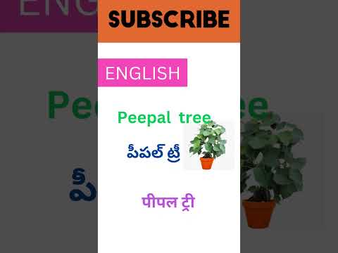 learn this tree in telugu, english and hindi with pronunciation