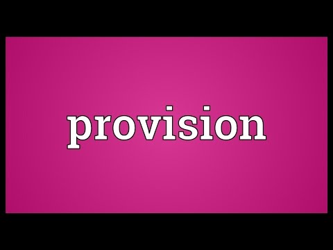 Provision Meaning