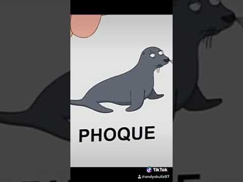 Seal in French