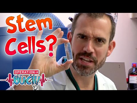What Are Stem Cells? 🔬 | Science Made Easy | Operation Ouch