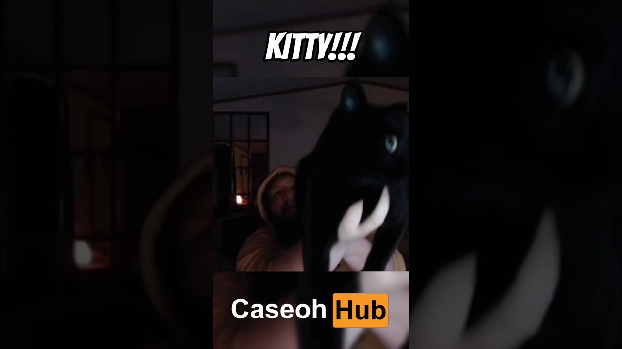 KITTY | CaseOh