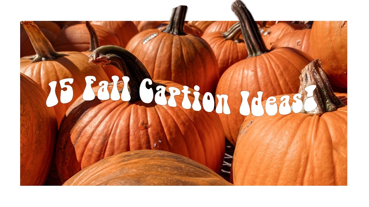 15 Fun Fall Caption Ideas!