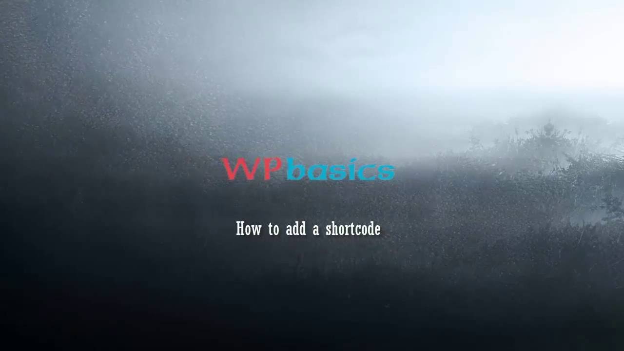 How to Create a WordPress Shortcode | WP Basics