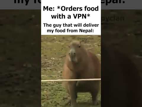 Capybara Meme #shorts