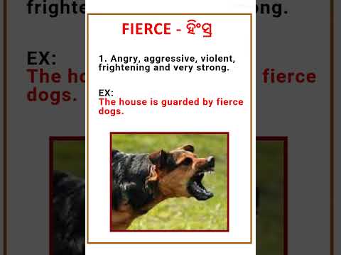 ଓଡିଆରେ fierce ଅର୍ଥ | fierce meaning in Odia #mywordbook #odia #englishwords