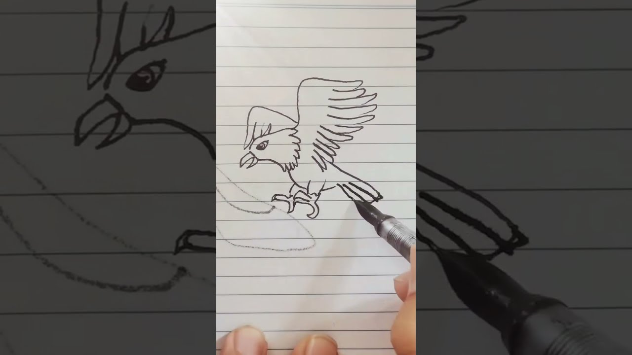 How to draw  Eagle |How to draw eagle in easy way | step by step easy Drawing  for beginner #shorts