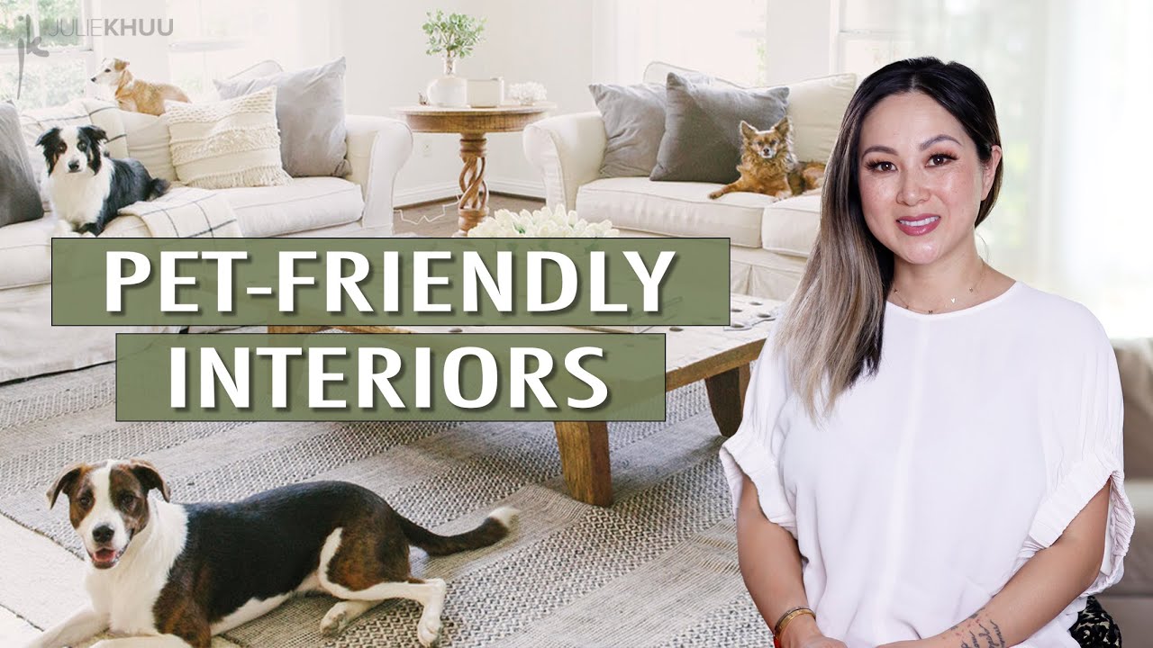 Designing The Perfect Pet-friendly Home (Must-know tips!)