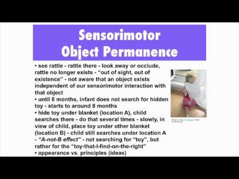 Lec 17 | MIT 9.00SC Introduction to Psychology, Spring 2011