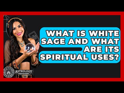 What Is White Sage And What Are Its Spiritual Uses? - Astrology Awakening