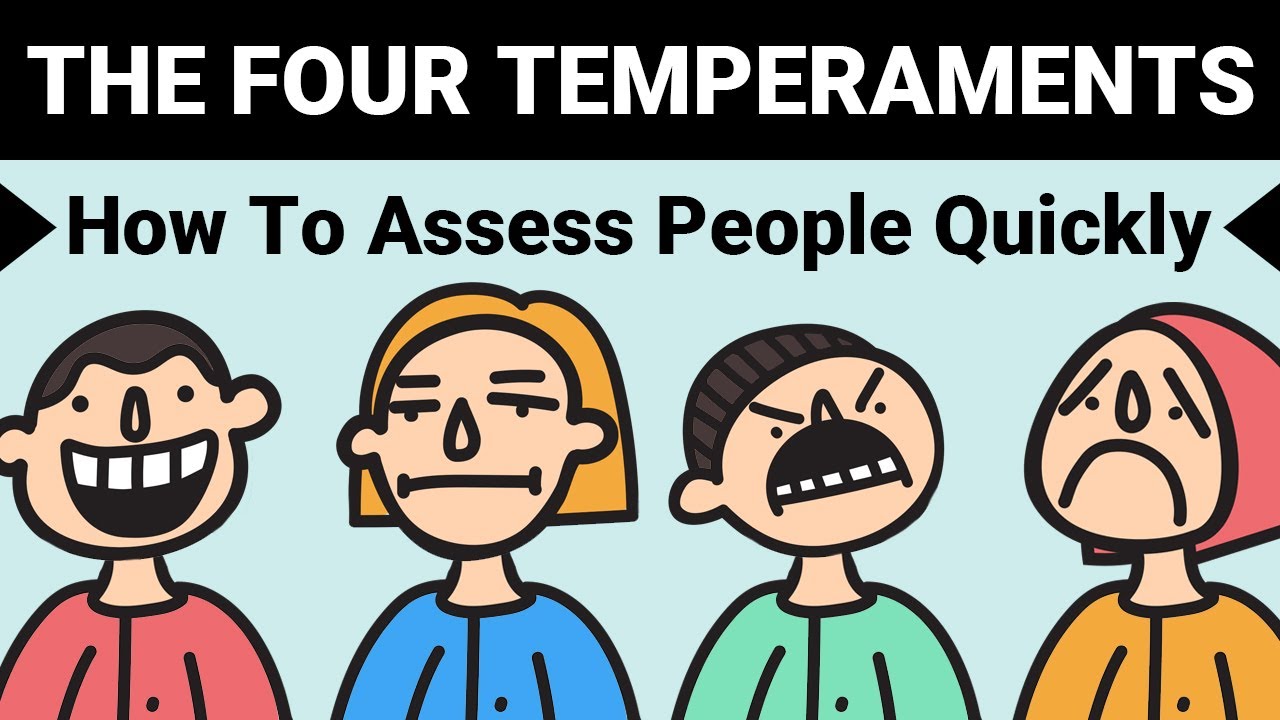 Understanding the Four Temperaments: A Guide to Quick Personality ...