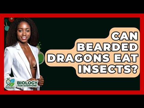 Can Bearded Dragons Eat Insects? - Biology For Everyone