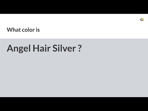 Angel Hair Silver color #d2d6db hex color - Blue color - Warm color d2d6db