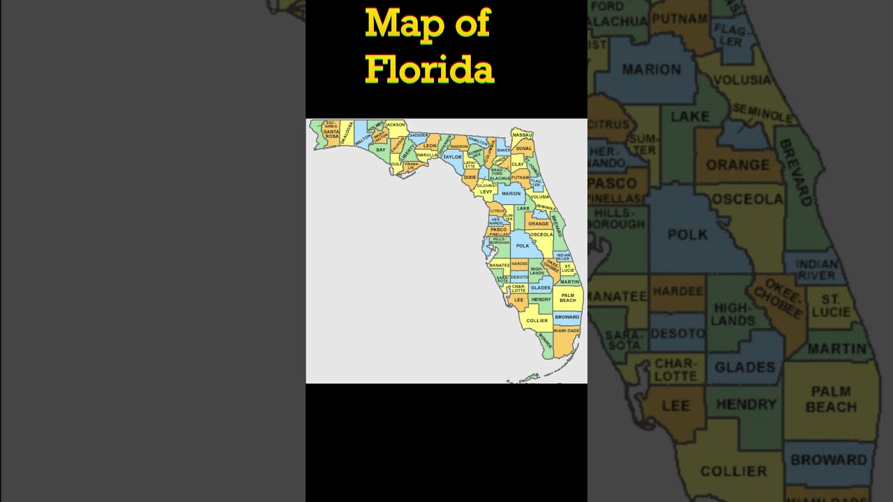 Map of Florida #usa #florida #map #shortsfeed #yt