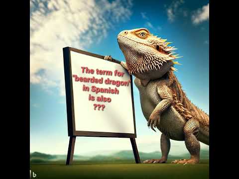 #beardeddragon In #spanish