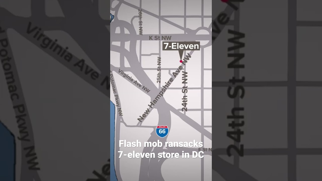 Flashmob ransacks 7-eleven in DC