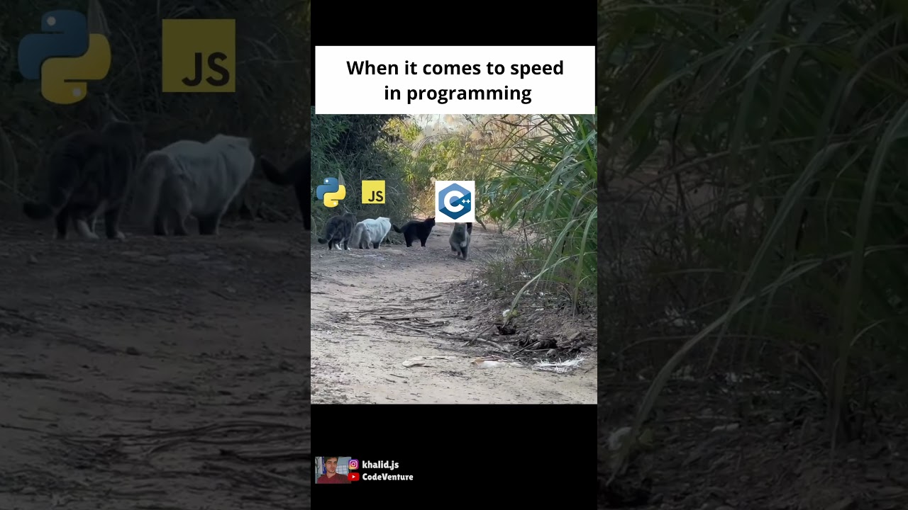 c plus plus hamilton#coding #programming #javascript #python