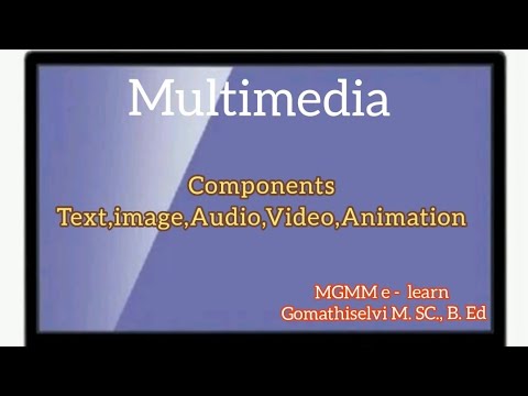 Multimedia/ Components of Multimedia