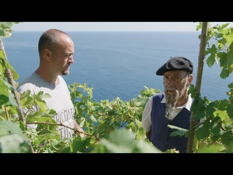Cinque Terre: Wijn aan de waterkant | Gort over de grens