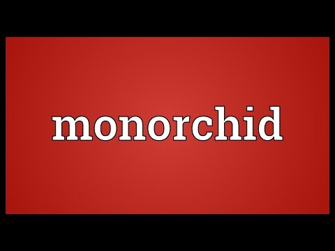Monorchid Meaning