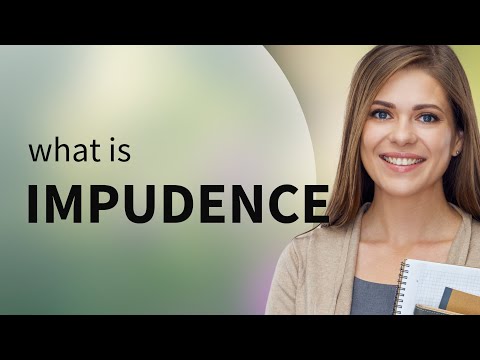 Impudence • definition of IMPUDENCE