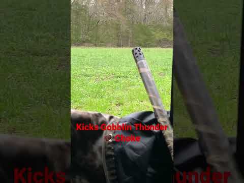 Stoeger p3500 Kicks Gobblin Thunder 🦃 Choke