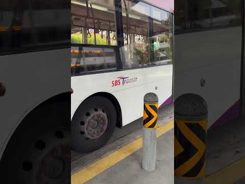 Bus Service 269 SBS8134X Scania K230UB Euro 4 Batch 2