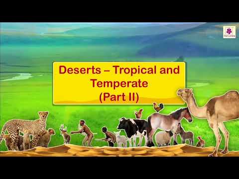 Features, Locations and Differences of Tropical (Hot) Deserts and Temperate (Cold) Deserts