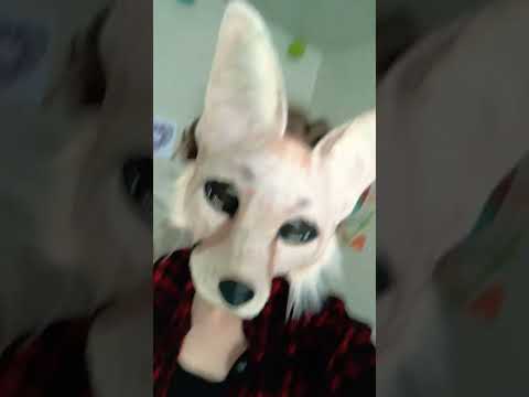 Forget yourself•~ #furry #otherhearted #catmask #alterhuman #trend #therian #antizoo #animalhearted