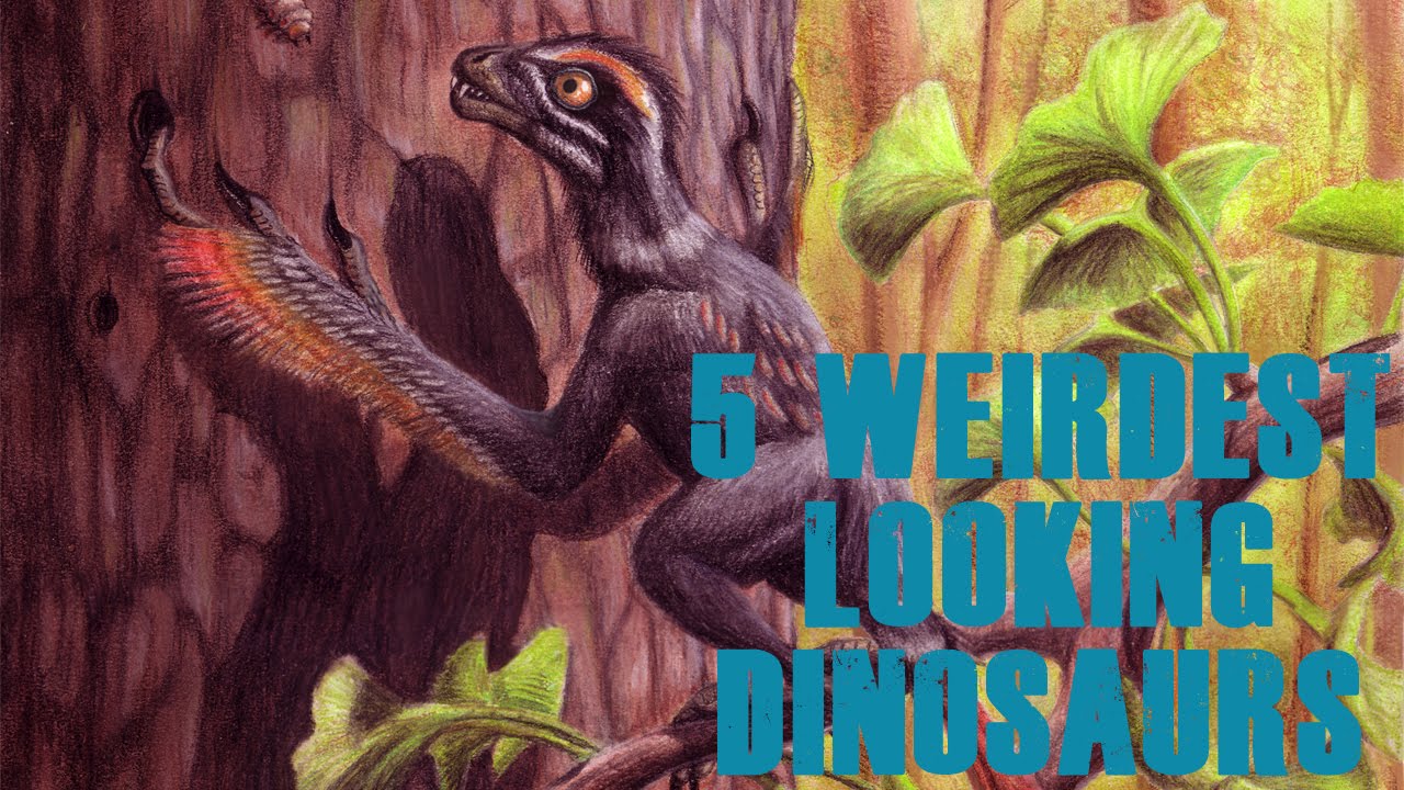 5 Weirdest Looking Dinosaurs
