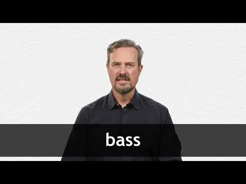 BASS - English pronunciations | Collins