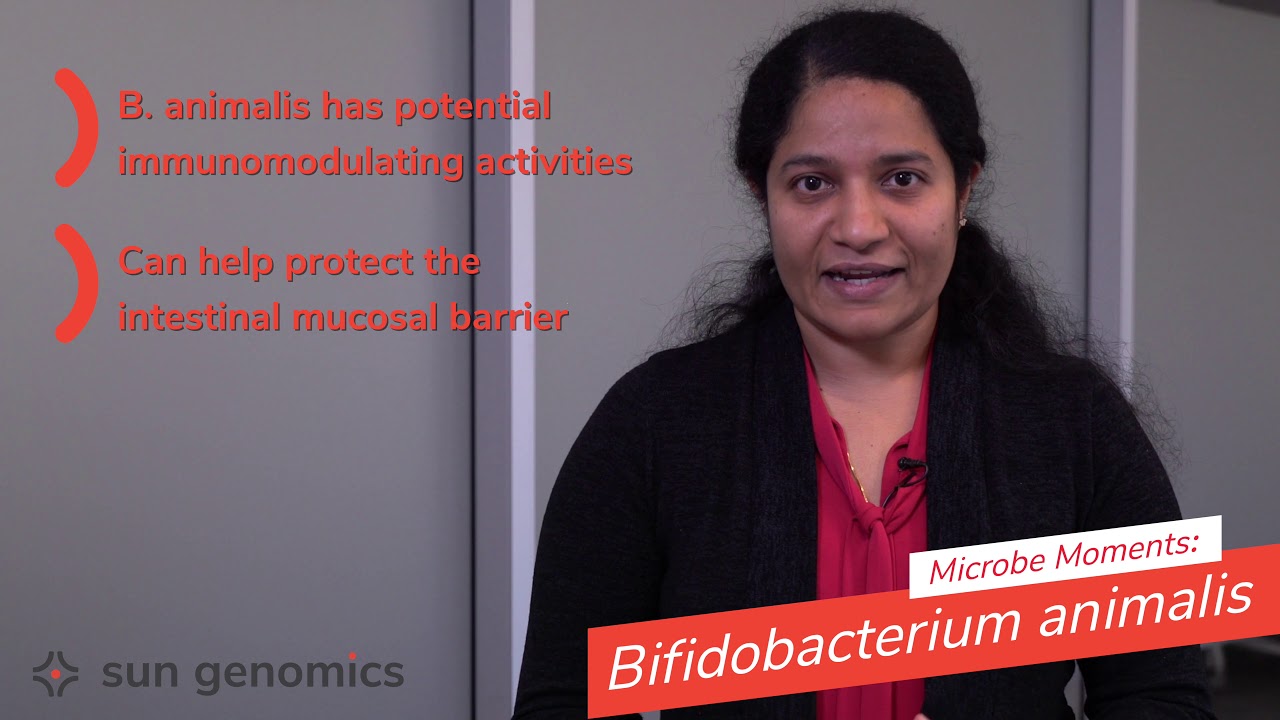 Microbe Moments: Bifidobacterium animalis | Sun Genomics