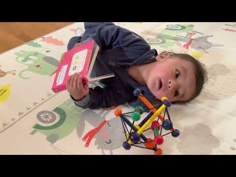 Baby's Book Adventure: Exploring the Wonderful World of Words
