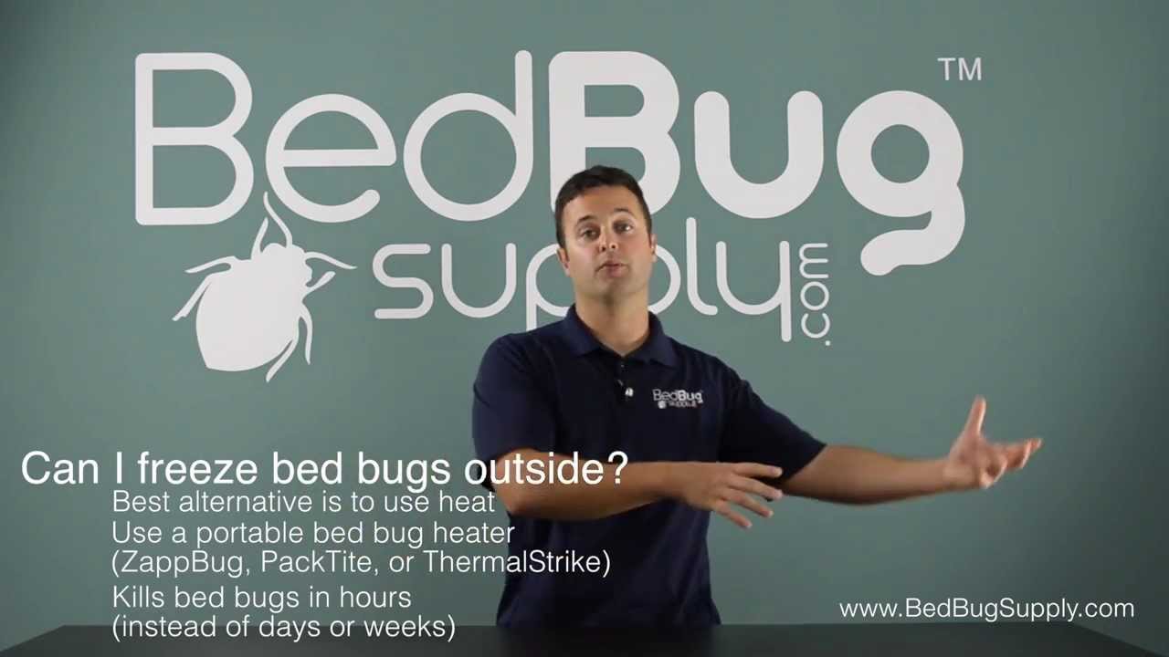 Will freezing winter temperatures kill bed bugs?