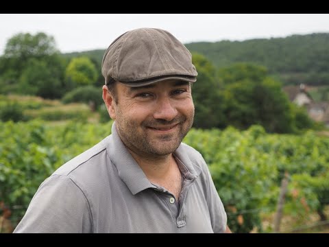 Les Champs de Themis, an Aligoté specialist in Bourgogne