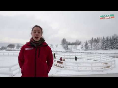 English winter riding camp for children - LazyHorse