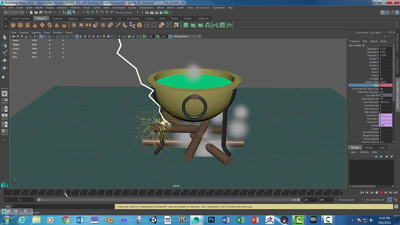 ANI 255 Cauldron Video 03