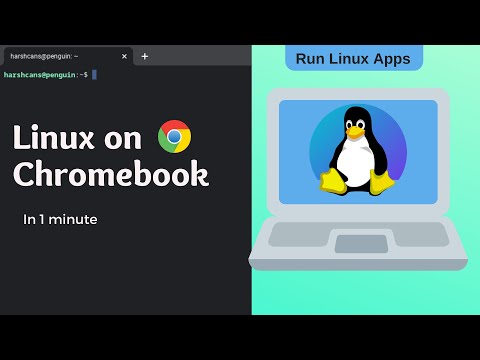 Linux on Chromebook | Full Setup | 100% Working